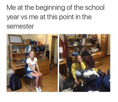 8 Memes That Are A Little Too Relatable To Finals Week - The New School ...